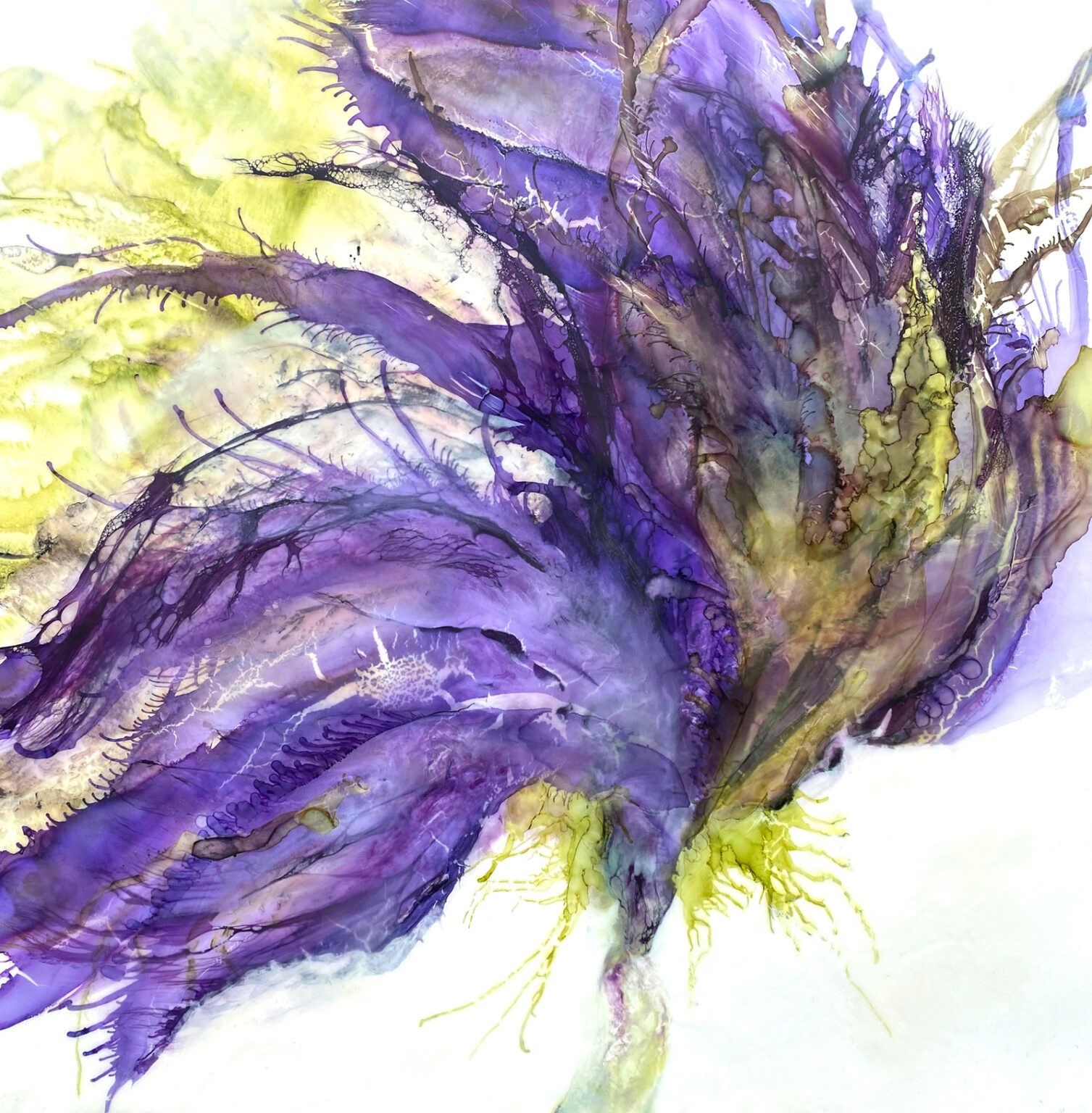 Alicia Tormey - Patricia Rovzar Gallery