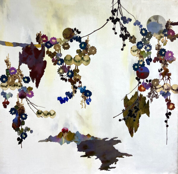 Rachel Brumer