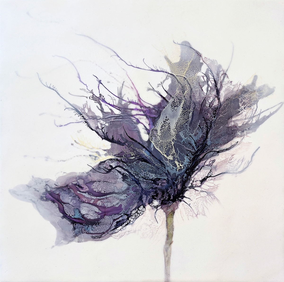 Alicia Tormey - Patricia Rovzar Gallery